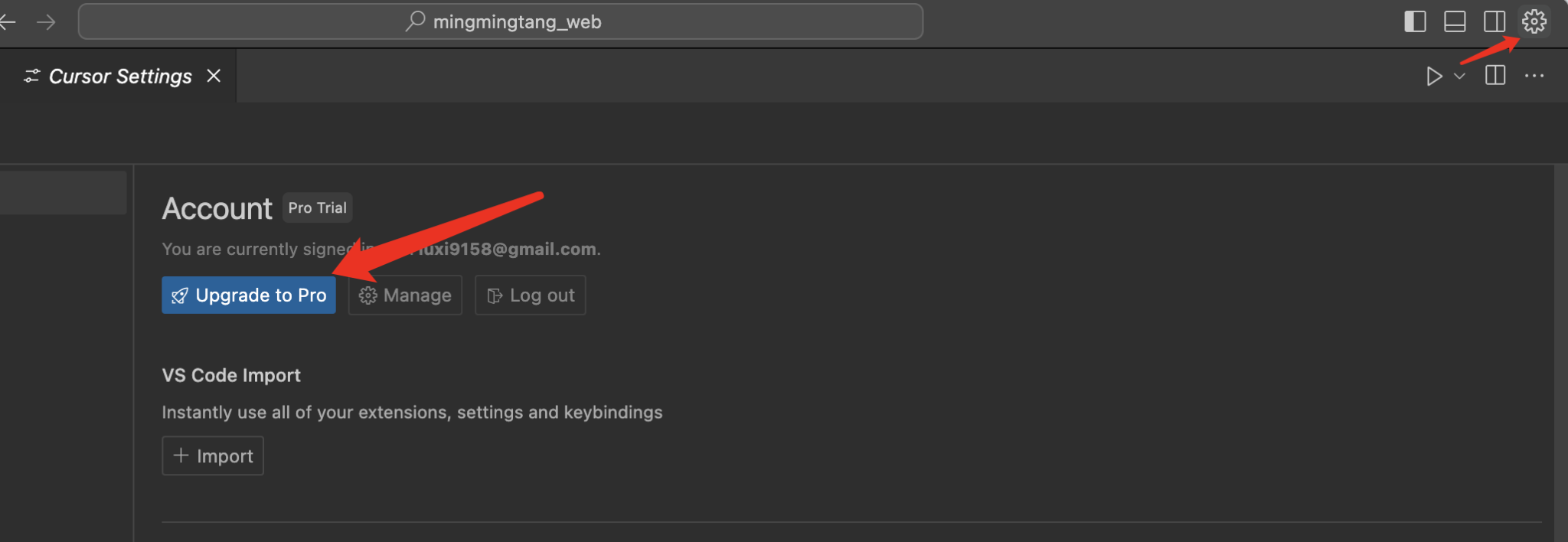 Cursor Ai编程充值说明（正规卡充值） – Ving 博客